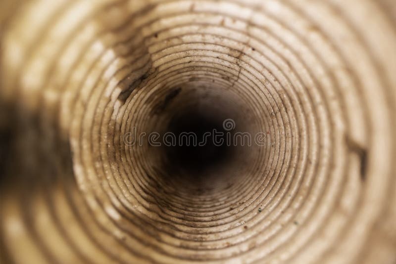 Inside View of Dirty Corrugated Drainage Pipe Stock Image - Image of ...