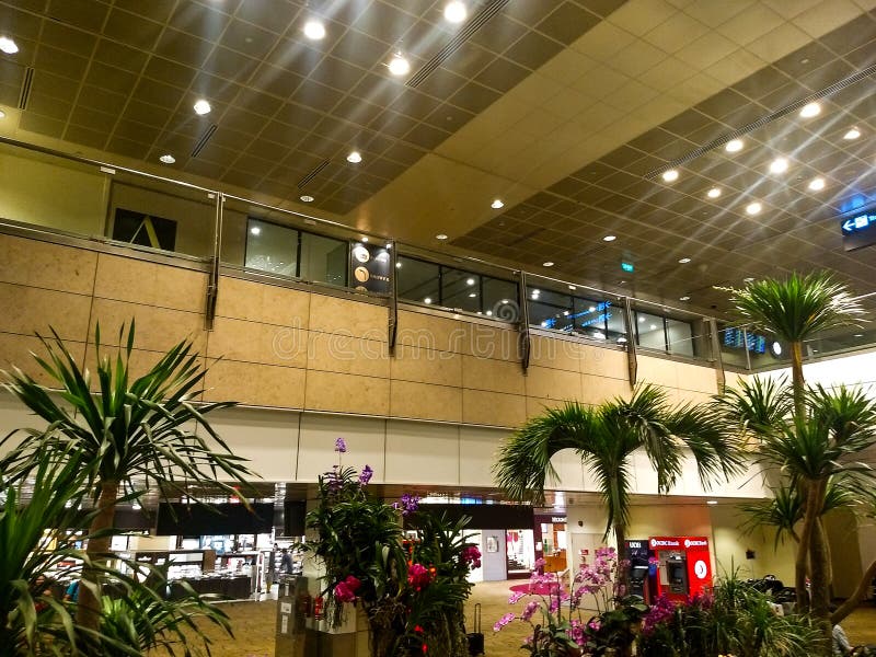 Inside View of Hotel in Bali Indonesia, Bali Hotel Inside View during ...