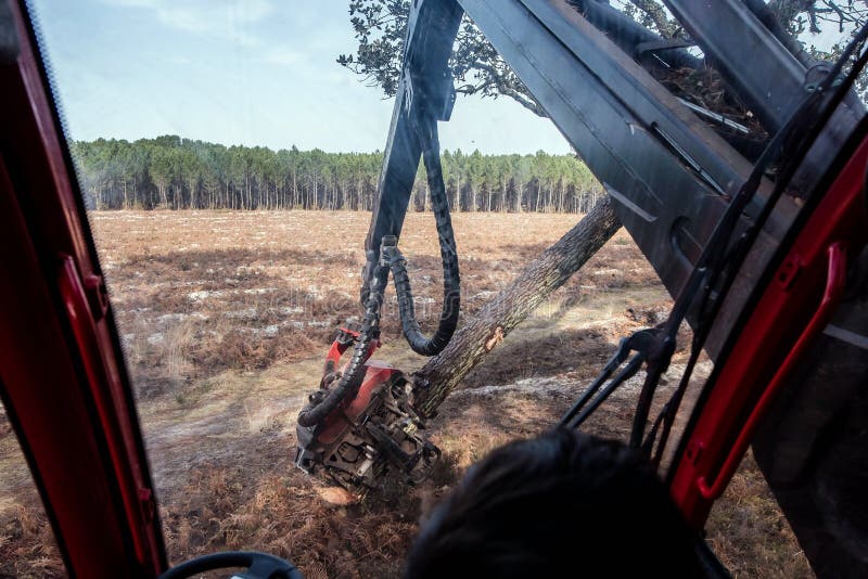 Inside View of Logging Industry Machine Cutting Logs Stock Image ...