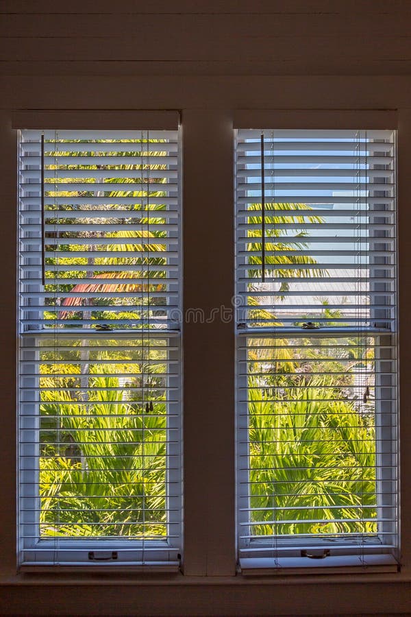 Tropical View from Inside Home Stock Photo - Image of palm, miami ...