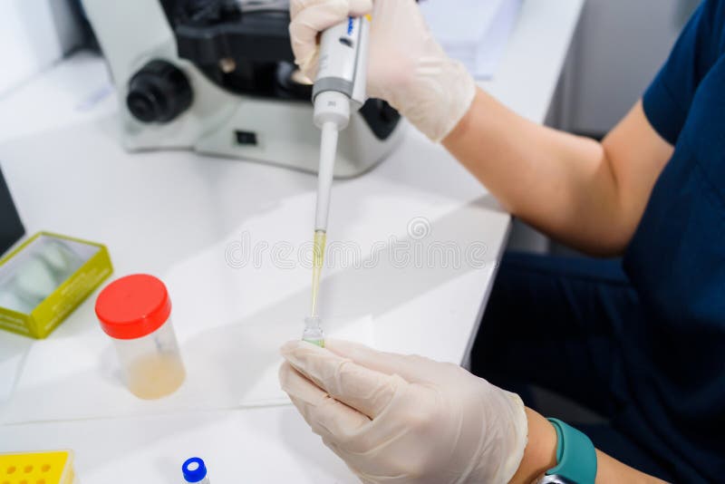 Inside of in Vitro Fertilization Labaratory Stock Photo - Image of ...