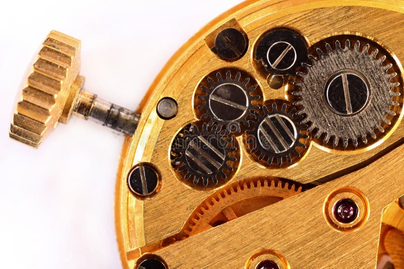 Watch stock image. Image of watchmaker, gear, movement - 29019251