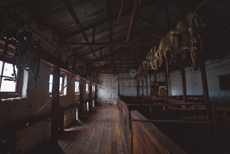 Inside a Wooden Barn on a Sheep Farm Stock Image - Image of timber ...