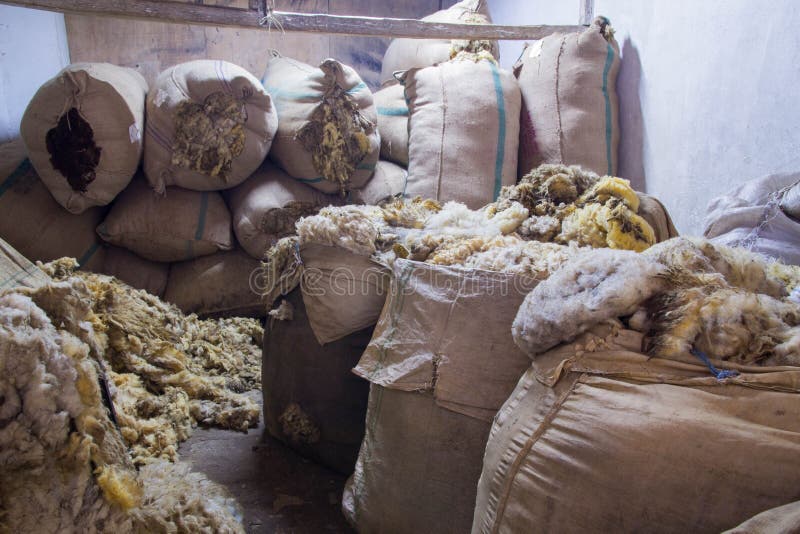 Inside a Wool Storage Building Stock Image - Image of floss, polyester ...