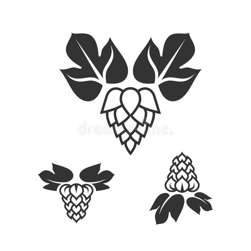 Insieme Delle Icone Del Luppolo Illustrazione Vettoriale ...