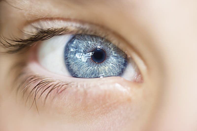 Insightful eyes stock photo. Image of ophthalmology, closeup - 50048868