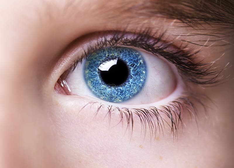 Insightful Look Blue Eyes Boy Stock Photo - Image of human, portrait ...