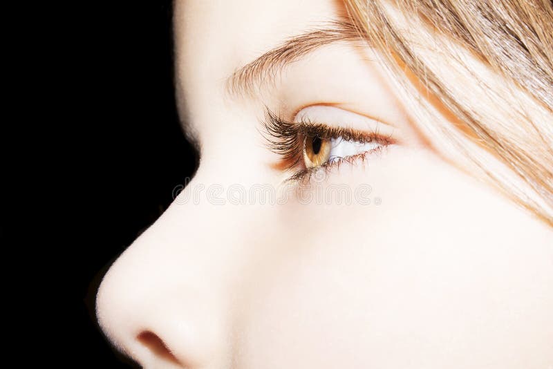 Insightful look eyes stock image. Image of closeup, optic - 65322827