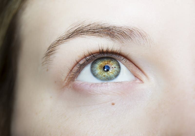 Insightful look eyes stock image. Image of close, eyes - 65322251