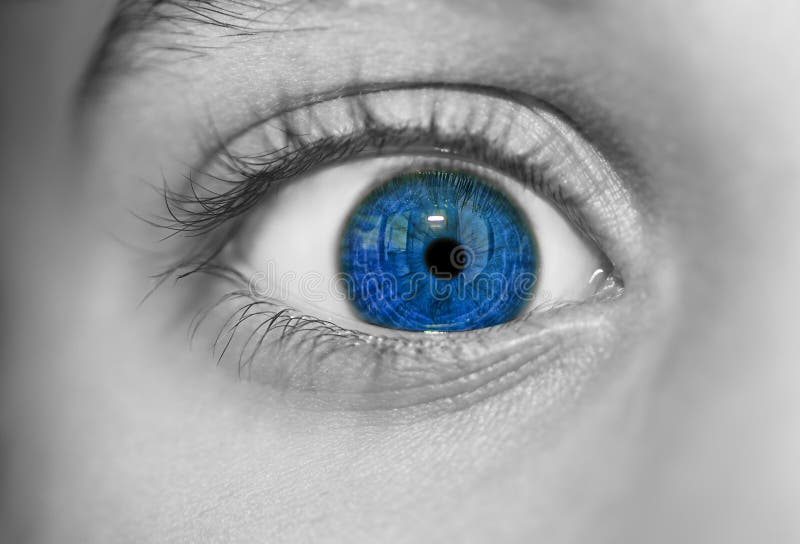 Insightful look eyes stock image. Image of optical, optician - 52274065