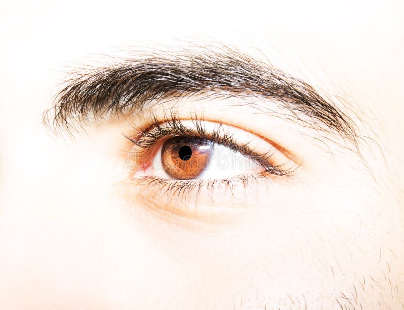 Insightful look eyes stock photo. Image of nice, exciting - 65346822