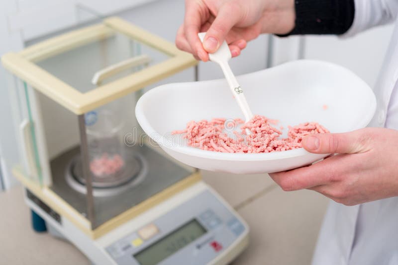 Inspecting raw meat stock photo. Image of germs, industry - 83177860