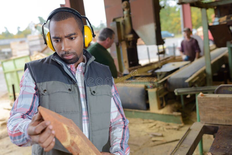 He inspecting wood stock image. Image of building, forest - 173907921