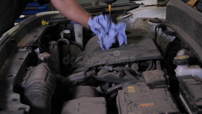 Inspection of the Engine and Checking the Engine Oil Level at the Car ...