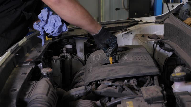 Inspection of the Engine and Checking the Engine Oil Level at a Service ...