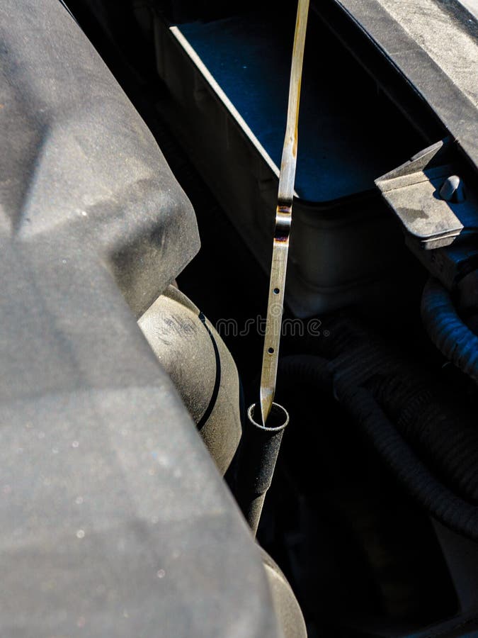 Inspection the Level of Oil on Car Engine Dipstick Stock Image - Image ...