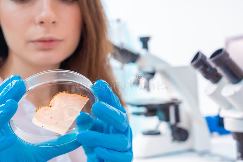 Inspection of Meat and Fish Quality in the Food Quality Laboratory ...