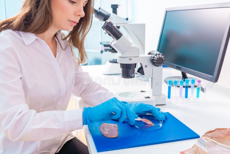 Inspection of Meat and Fish Quality in the Food Quality Laboratory ...