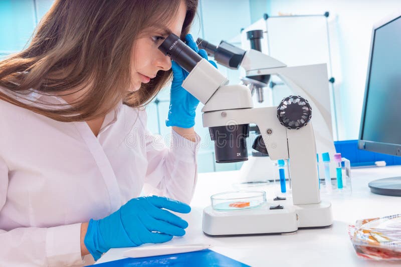 Inspection of Meat and Fish Quality in the Food Quality Laboratory ...