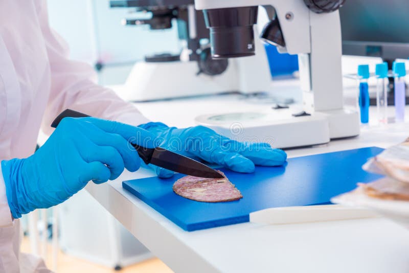Inspection of Meat and Fish Quality in the Food Quality Laboratory ...