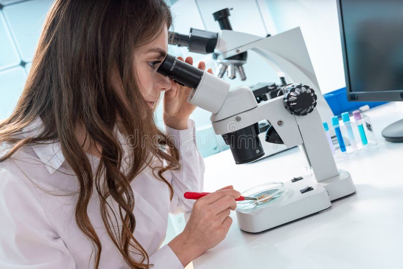 Ground analyzing stock image. Image of vial, water, tube - 4676189