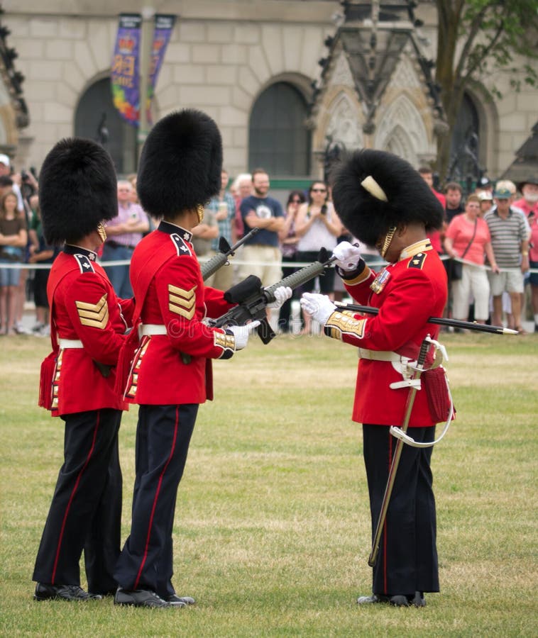 Inspection of Weapon editorial image. Image of guard - 25741160