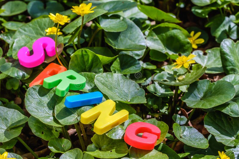 Inspiration Art Hello Spring Flower, Green Plant, Spring Concept Stock ...