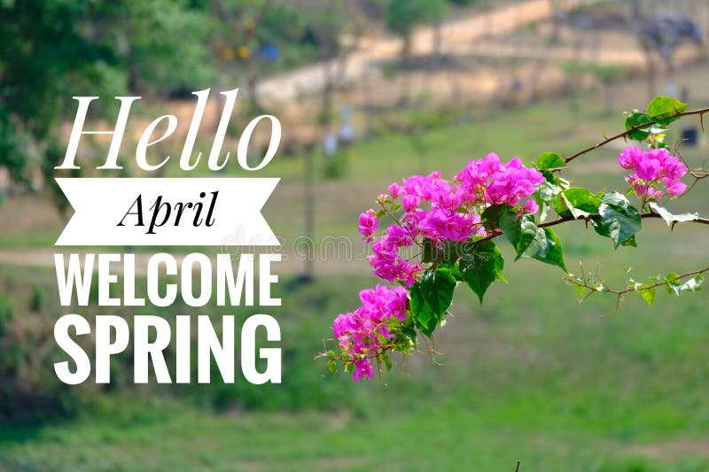 Inspiration Motivation Quote about Life, Education, Learning and ...