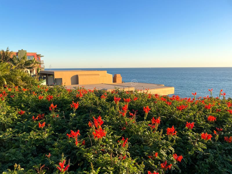 Inspiration Point at Sunset Editorial Stock Photo - Image of scene ...