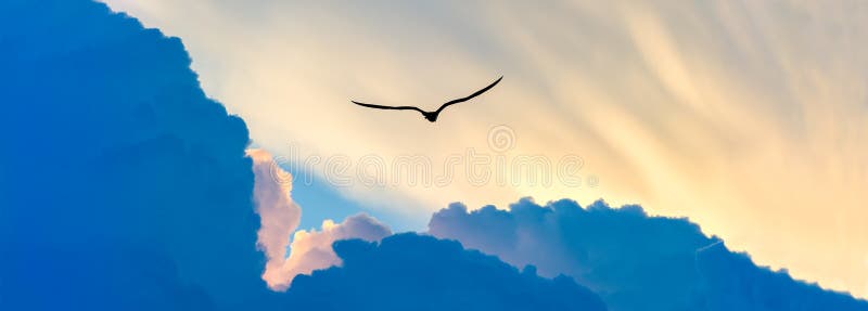 Inspirational Bird Flying Image Banner Stock Photo - Image of ...