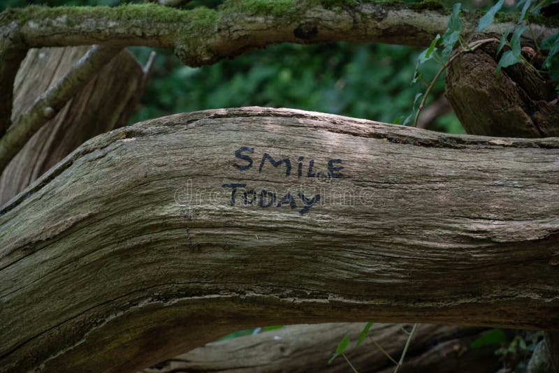 Smile sign on a log stock image. Image of emotion, sign - 120324857