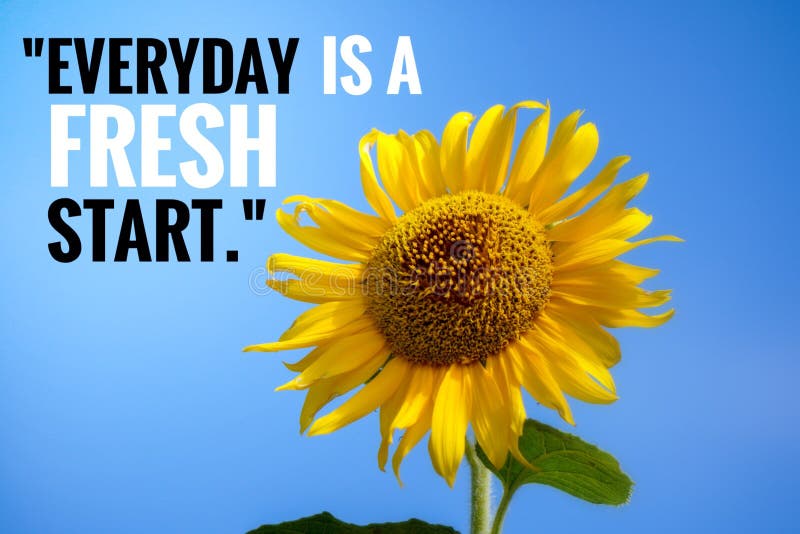 Inspirational Motivating Quotes on Nature Background Stock Image ...