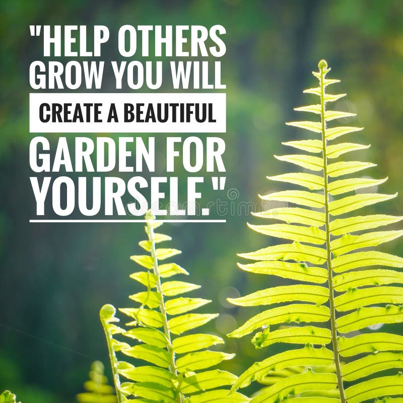 Inspirational Motivating Quotes on Nature Background Stock Photo ...