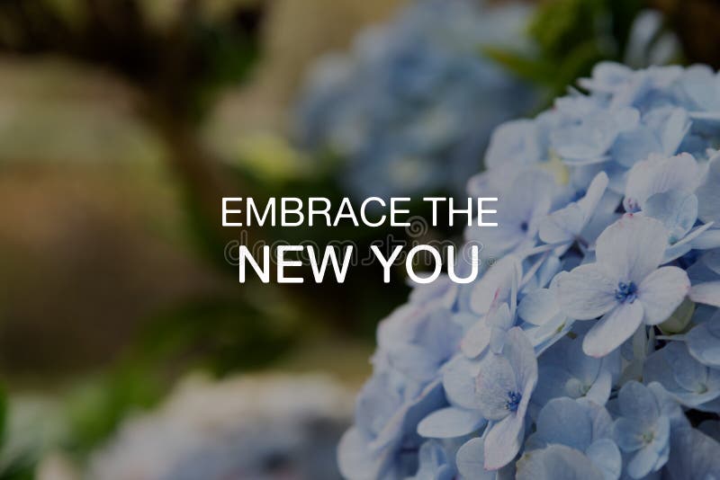 Life Quotes - Embrace the New You Stock Image - Image of message ...