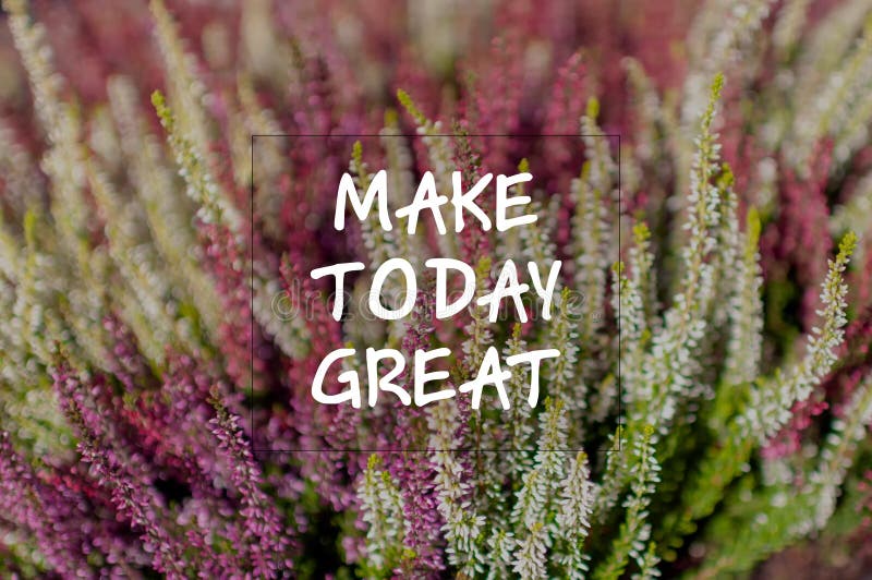 375 Motivational Quotes Great Stock Photos - Free & Royalty-Free Stock ...