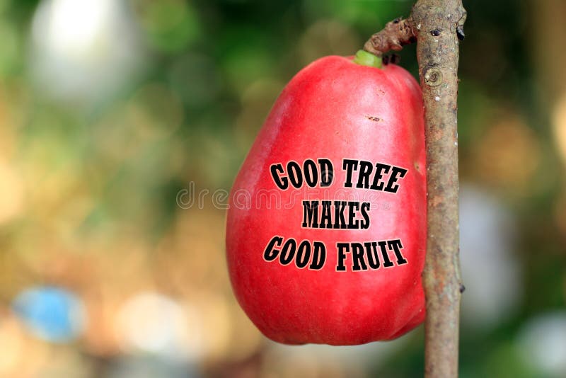 Inspirational Text Message on Fresh Red Water Apple Fruit on Tree. Good ...