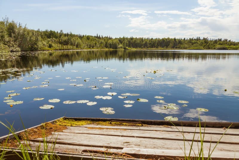Inspirations-Summer See stockfoto. Bild von vorstand - 87843600