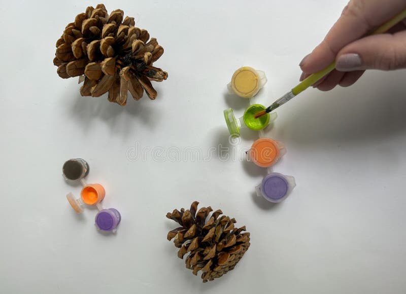 Inspired Creative Activity with Pine Cones, Vibrant Paints, and Natural ...