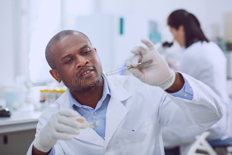 Inspired Skilled Bioengineer Doing a Test with Seeds Stock Photo ...