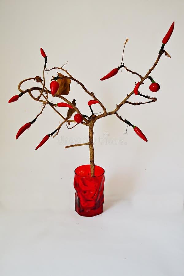 Installation Bare Withered Tree with Chili Pepper in Red Syakan. a ...