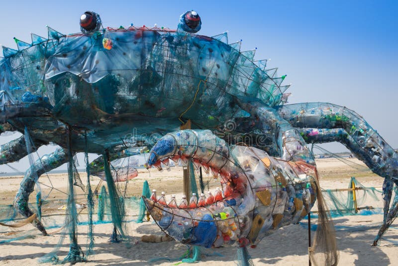 Installation on the beach stock image. Image of carapace - 56715897