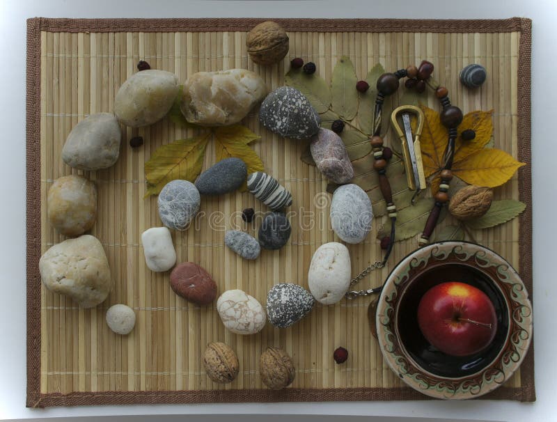 Giving life stock image. Image of give, corolla, pistil - 1324703