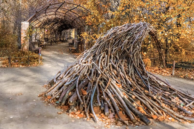 Installation of Logs in Front of a Gazebo Wrapped in a Vine in an ...