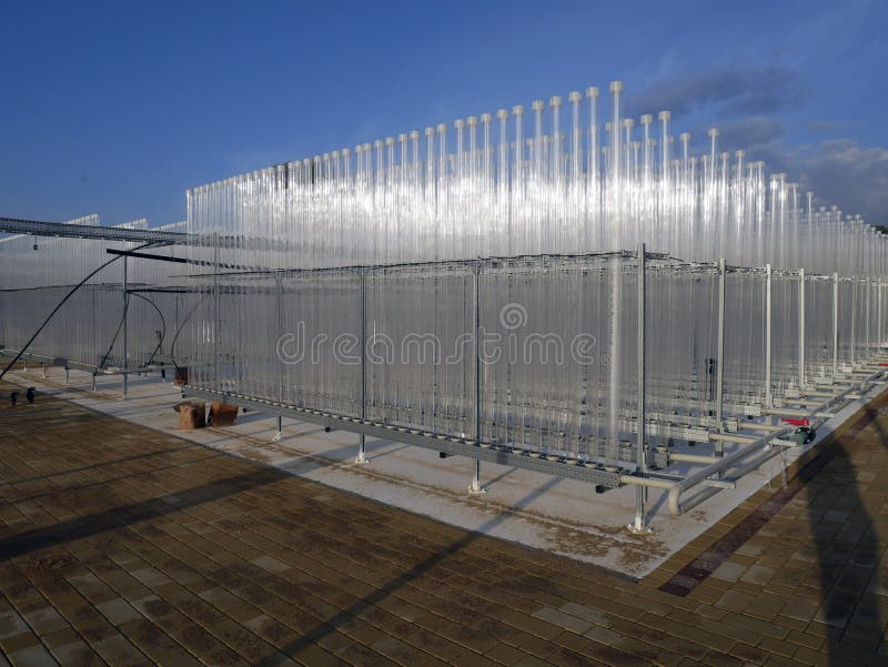 Growing Algae in Small Bioreactors Editorial Stock Image - Image of ...