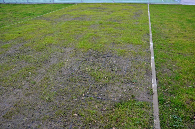 Installation of a Plastic Mat As a Replacement for the Lawn. Stock ...