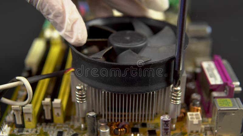 Installing a Processor Cooler on the Motherboard. CPU Cooling System on ...