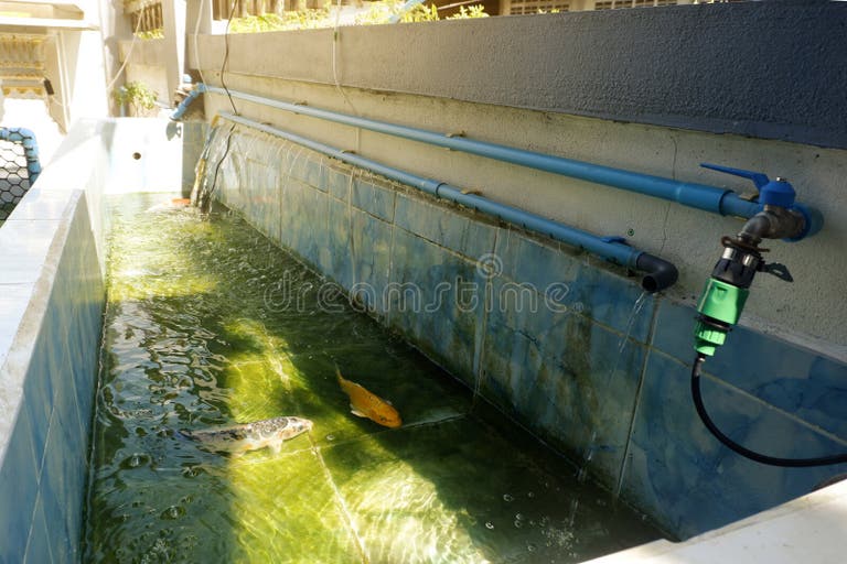 Installing PVC Pipes To Create a Waterfall To Increase Oxygen in the ...