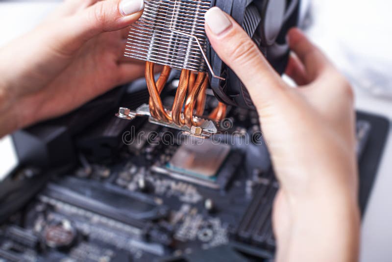 Installing or Repair the Air Cooling System of the PC Processor. Stock ...