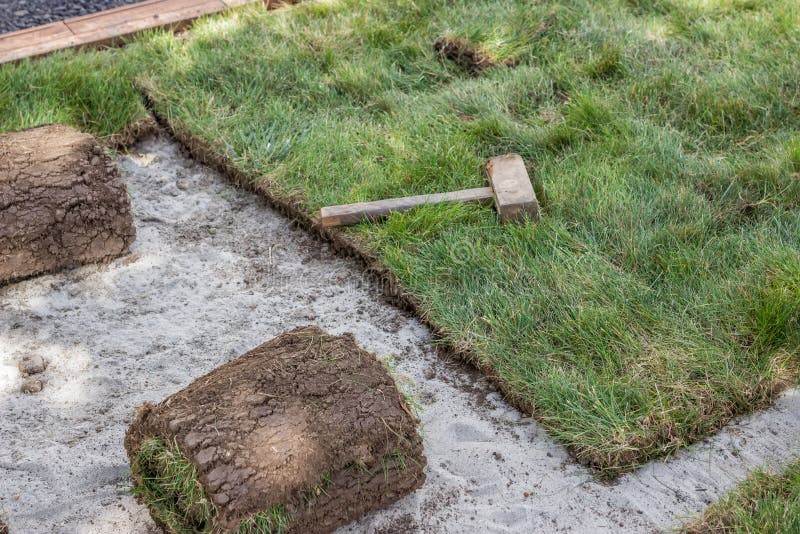 Installing sod stock image. Image of candid, dirt, design - 45899539