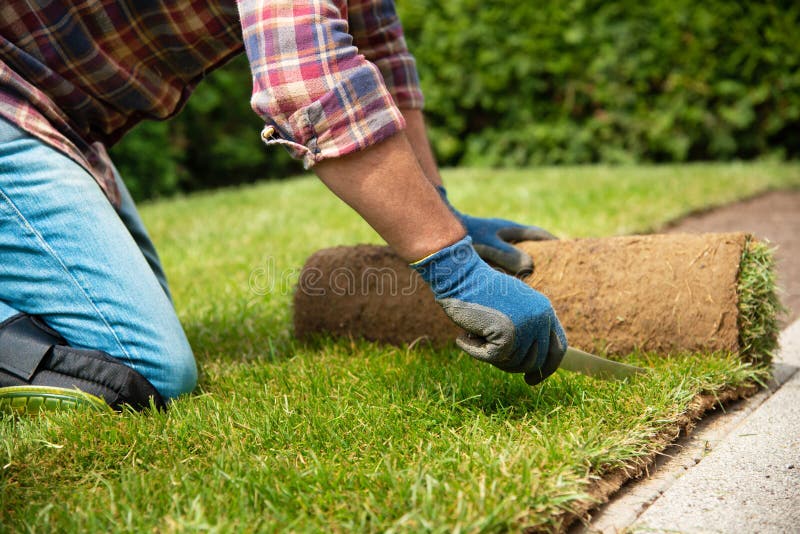 Turf Rolls and Gardener in Edinburgh Stock Photo - Image of tool, park ...